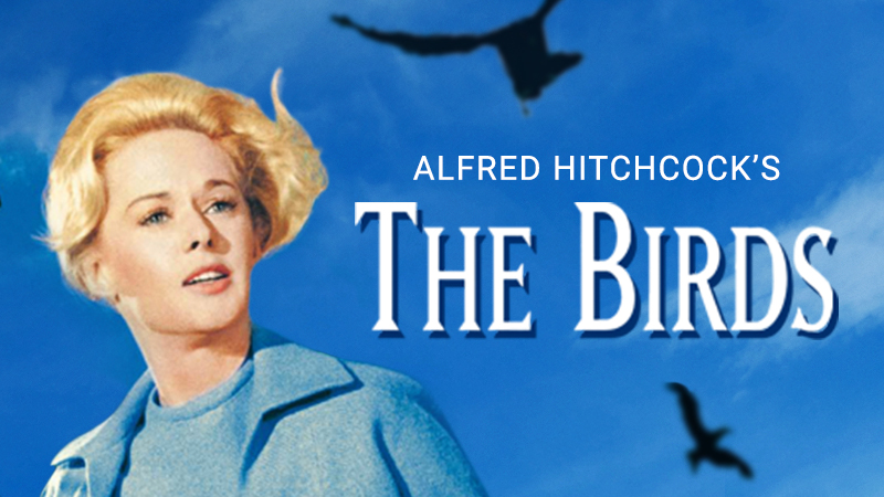 The Birds | Ad-Free and Uncut | SHUDDER