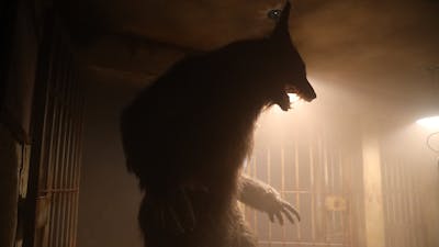 Full Moon Fever | Must-Watch Horrors and Thrillers | SHUDDER