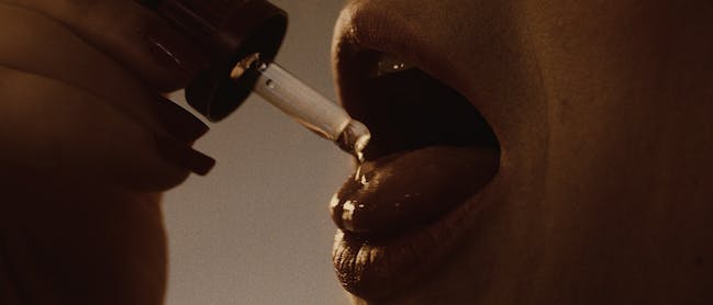 Collections | SHUDDER